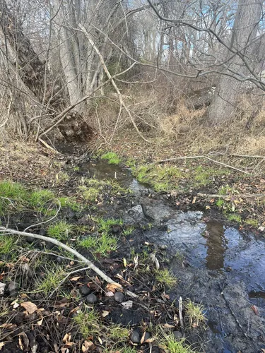 Best Hikes and Trails in Howard County Conservancy | AllTrails