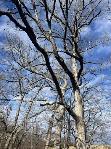 Best Hikes and Trails in Howard County Conservancy | AllTrails