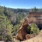 Canyon Loop Trail, Georgia - 2,084 Reviews, Map | AllTrails