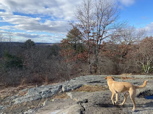 Best Hikes and Trails in Whipple Hill Conservation Lands | AllTrails