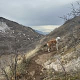 Red Butte Canyon Overlook, Utah - 517 Reviews, Map | AllTrails