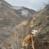Red Butte Canyon Overlook, Utah - 517 Reviews, Map | AllTrails
