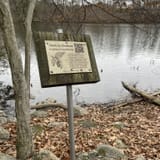 Leaser Lake Trail, Pennsylvania - 595 Reviews, Map | AllTrails
