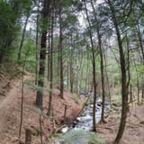 Catamount Hill Trail and One Mile Trail Loop, New Hampshire - 631 ...