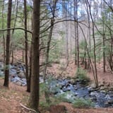 Catamount Hill Trail and One Mile Trail Loop, New Hampshire - 631 ...