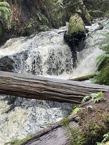 Best Hikes and Trails in Port Ludlow | AllTrails