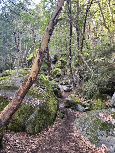 Best Hikes and Trails in Prospect State Scenic Viewpoint | AllTrails