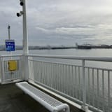 Bay Bridge Trail, California - 729 Reviews, Map | AllTrails