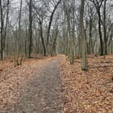 Tobico Marsh Trail, Michigan - 648 Reviews, Map | AllTrails