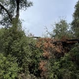 Morgan Trail, California - 536 Reviews, Map | AllTrails