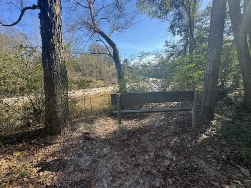 Best Hikes and Trails in Comite River Park | AllTrails