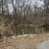 Bee Tree Lake Loop, Missouri - 546 Reviews, Map | AllTrails