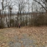 Bee Tree Lake Loop, Missouri - 546 Reviews, Map | AllTrails
