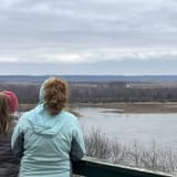 Bee Tree Lake Loop, Missouri - 546 Reviews, Map | AllTrails
