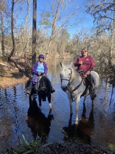 Best Horseback Riding Trails in Live Oak | AllTrails