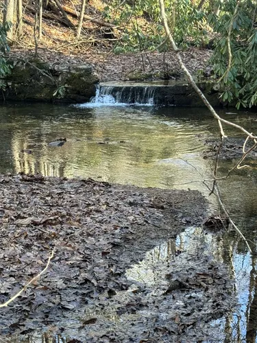 Best Hikes and Trails in Crystal Springs Recreation Area | AllTrails