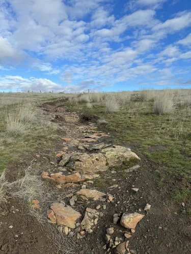 Best Hikes and Trails in Pendleton Adventure Trails Recreation Area ...