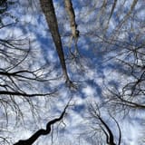 Fred Crabtree Park, Virginia - 506 Reviews, Map | AllTrails