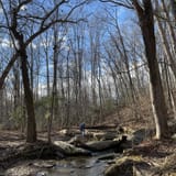 Fred Crabtree Park, Virginia - 506 Reviews, Map | AllTrails