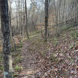 Pine Log Creek Trail, Georgia - 2,250 Reviews, Map | AllTrails