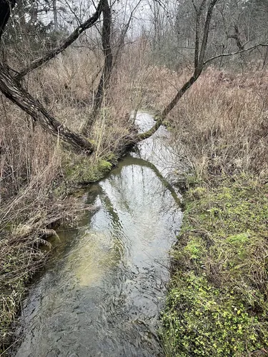 Best Hikes and Trails in Bessie Benner Metzenbaum Park | AllTrails