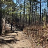 Talladega National Forest OHV Trail, Alabama - 59 Reviews, Map | AllTrails