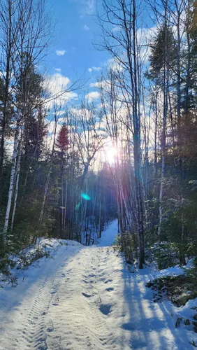 Best Hikes and Trails in Saint-Juste-du-Lac | AllTrails