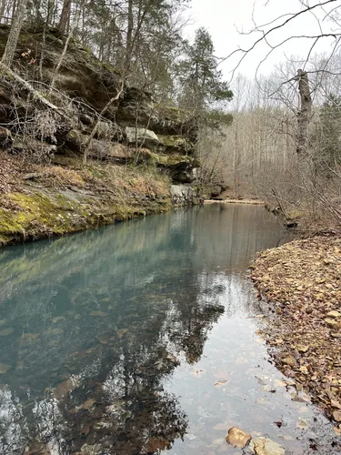 Best Hikes and Trails in Bell Smith Springs Natural Landmark | AllTrails