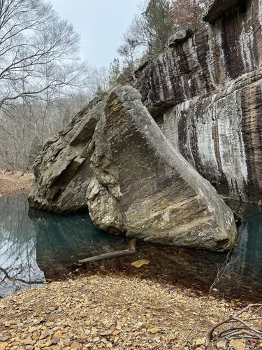Best Hikes and Trails in Bell Smith Springs Natural Landmark | AllTrails