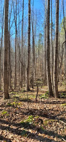 Best Hikes and Trails in Duke Forest Edeburn Division | AllTrails