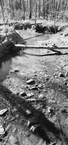 Best Hikes and Trails in Duke Forest Edeburn Division | AllTrails