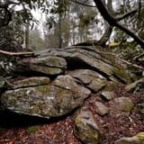 Long and Ell Pond Trail, Rhode Island - 226 Reviews, Map | AllTrails