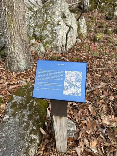 Best Hikes and Trails in Spruce Knob-Seneca Rocks National Recreation ...