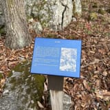 Seneca Rocks Trail, West Virginia - 2,615 Reviews, Map | AllTrails
