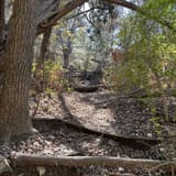 Turkey Creek Trail, Texas - 2,306 Reviews, Map | AllTrails