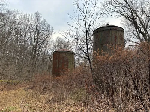 Best Hikes and Trails in Tiger Brook Preserve | AllTrails