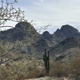 Dreamy Draw Loop Trail, Arizona - 1,140 Reviews, Map | AllTrails
