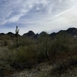 Dreamy Draw Loop Trail, Arizona - 1,140 Reviews, Map | AllTrails