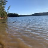 Fonta Flora Trail Loop, North Carolina - 1,555 Reviews, Map | AllTrails