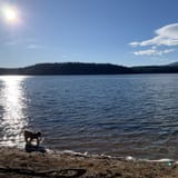 Fonta Flora Trail Loop, North Carolina - 1,599 Reviews, Map | AllTrails