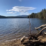 Fonta Flora Trail Loop, North Carolina - 1,599 Reviews, Map | AllTrails