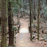 Fonta Flora Trail Loop, North Carolina - 1,599 Reviews, Map | AllTrails