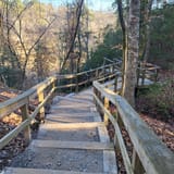 Raven Rock Loop Trail, North Carolina - 2,319 Reviews, Map | AllTrails