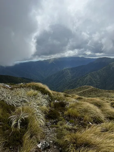 10 Best Hikes and Trails in Tararua Forest Park | AllTrails