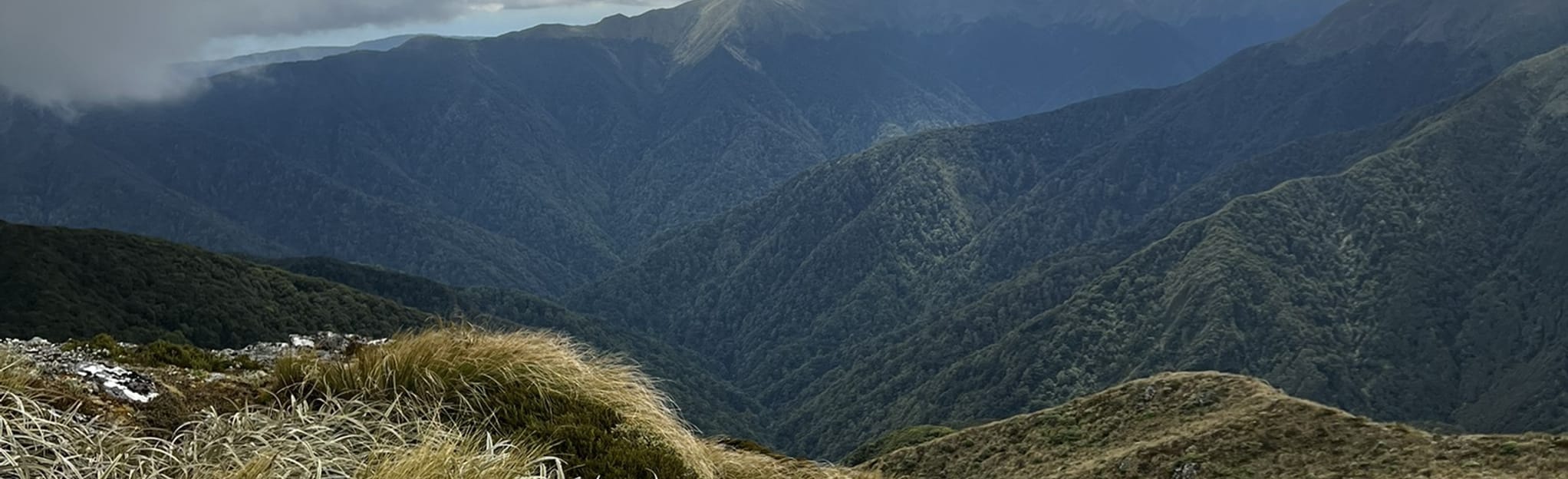 Mount Holdsworth Jumbo Circuit, Wellington, New Zealand - 74 Reviews ...