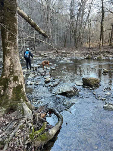 Best Hikes and Trails in Window Cliffs State Natural Area | AllTrails