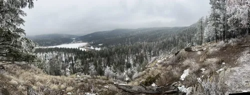 Best Hikes and Trails in Stillwater State Forest | AllTrails