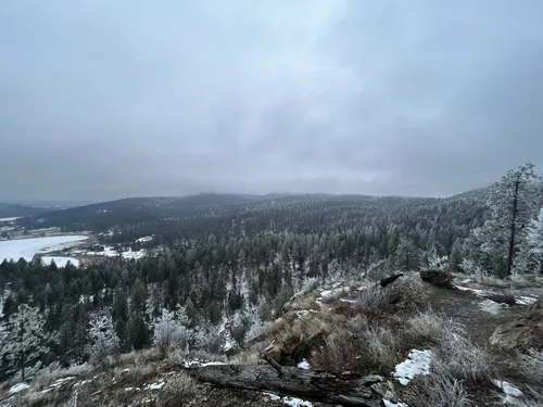 Best Hikes and Trails in Stillwater State Forest | AllTrails