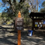 Cane Bayou Trail, Louisiana - 539 Reviews, Map | AllTrails