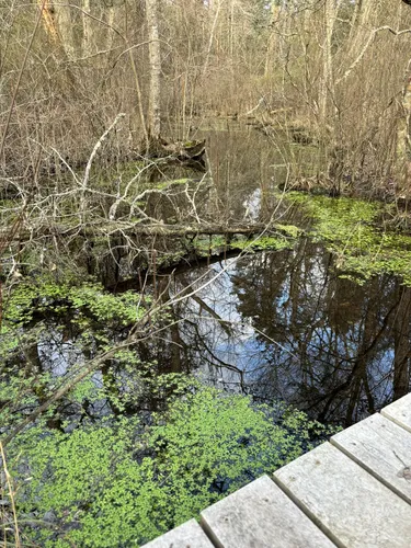 Best Hikes and Trails in Parvin State Park | AllTrails
